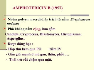 Thuoc khang nam | PPT