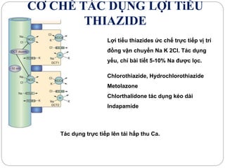 Thuoc loi tieu | PPT