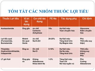 Thuoc loi tieu | PPT