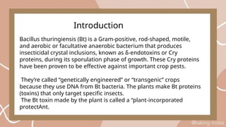 THURINGENESIS TOXIN AS A NATURAL PESTICIDE.pptx