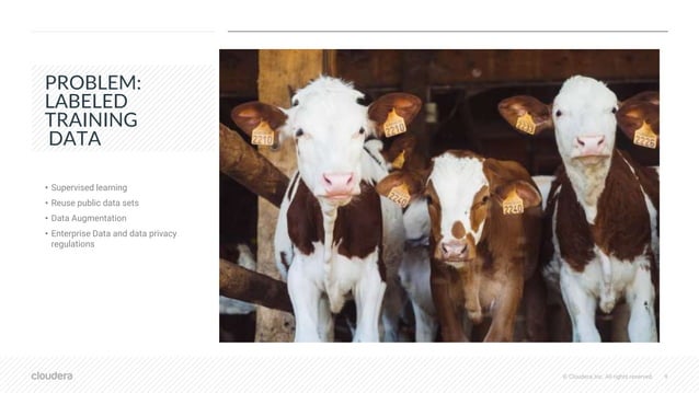 Parallel/Distributed Deep Learning and CDSW | PPT