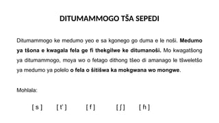 Thutamedumo.pptx Bohlokwa bja Fonetiki bophelong | PPTX