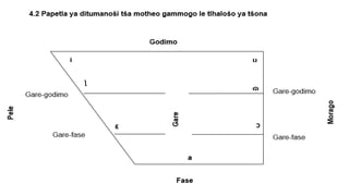 Thutamedumo.pptx Bohlokwa bja Fonetiki bophelong | PPTX