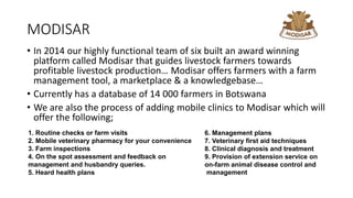 The Botswana Startup Experience - Thuto Gaotingwe | PPT