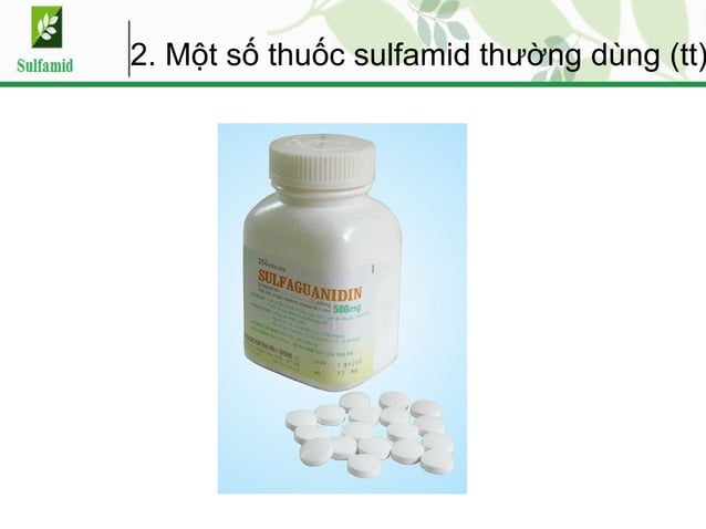 Thu y c1. thuốc kháng sinh sulfamid | PPT