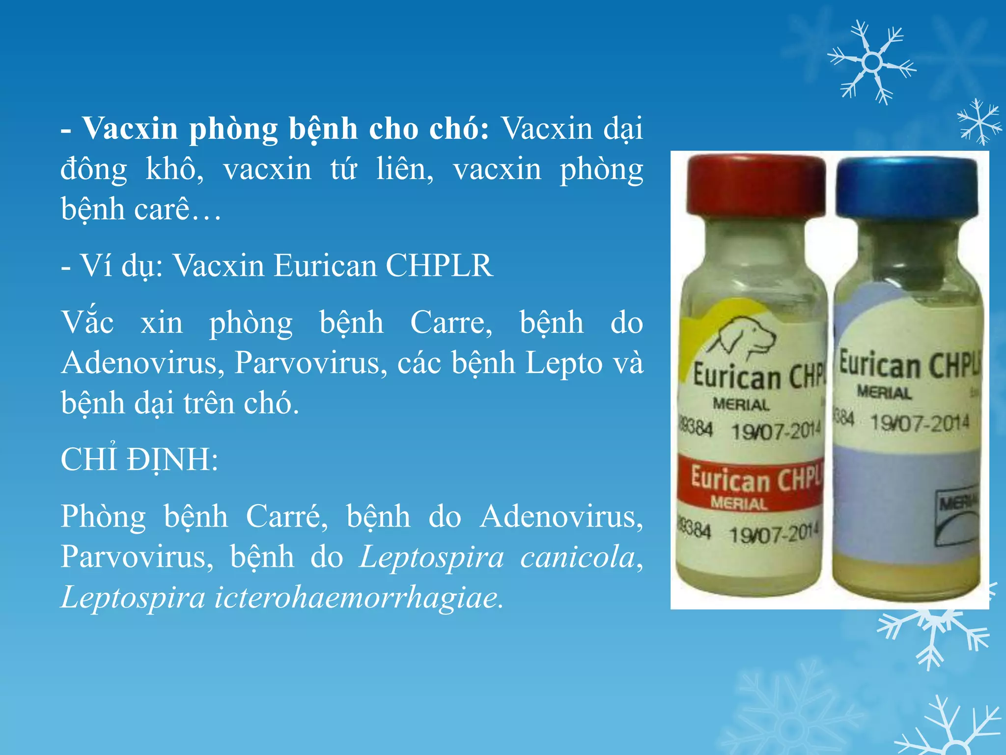 Thu y c1. vacxin sử dụng trong thú y | PPTX