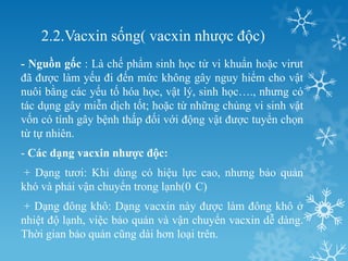 Thu y c1. vacxin sử dụng trong thú y | PPTX