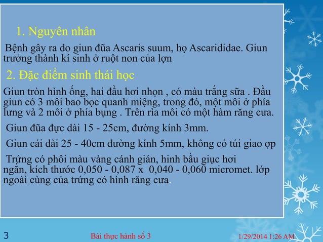 Thu y c3. bệnh giun đũa lợn | PPT