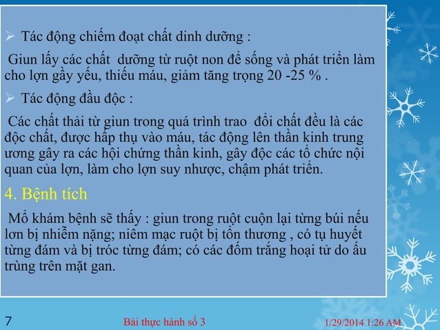 Thu y c3. bệnh giun đũa lợn | PPT
