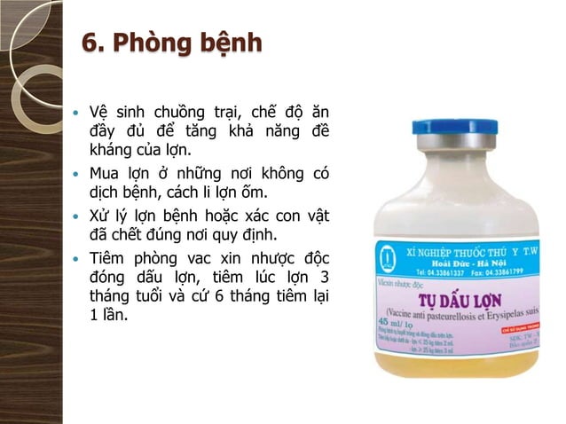 Thu y c4. bệnh lợn đóng dấu | PPTX