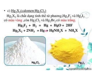 THUYET TRINH CAC NGUYEN TO PHAN NHOM PHU NHOM IIB | PDF