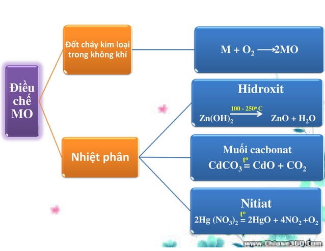 THUYET TRINH CAC NGUYEN TO PHAN NHOM PHU NHOM IIB | PDF