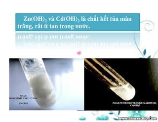 THUYET TRINH CAC NGUYEN TO PHAN NHOM PHU NHOM IIB | PDF