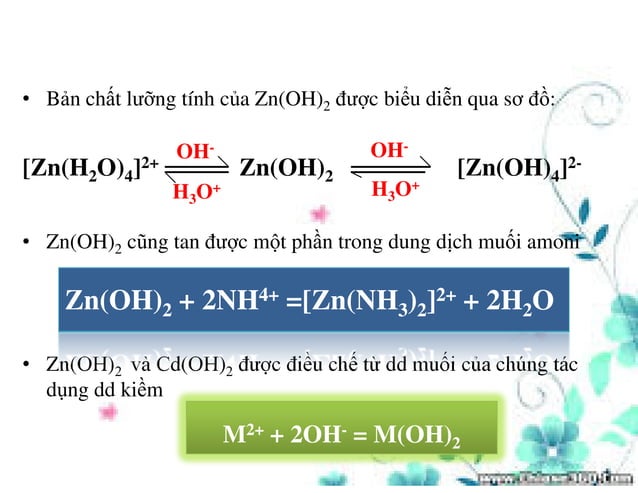 THUYET TRINH CAC NGUYEN TO PHAN NHOM PHU NHOM IIB | PDF