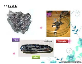 THUYET TRINH CAC NGUYEN TO PHAN NHOM PHU NHOM IIB | PDF