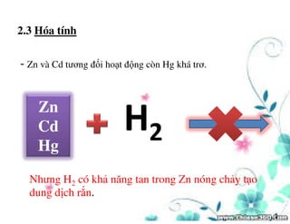 THUYET TRINH CAC NGUYEN TO PHAN NHOM PHU NHOM IIB | PDF