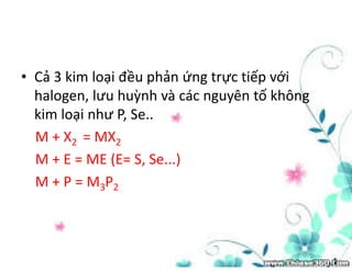 THUYET TRINH CAC NGUYEN TO PHAN NHOM PHU NHOM IIB | PDF