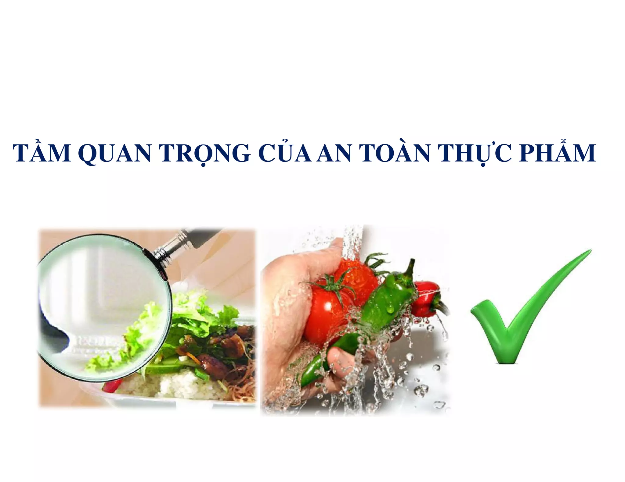 Thuyet trinh ve an toan thuc pham | PDF