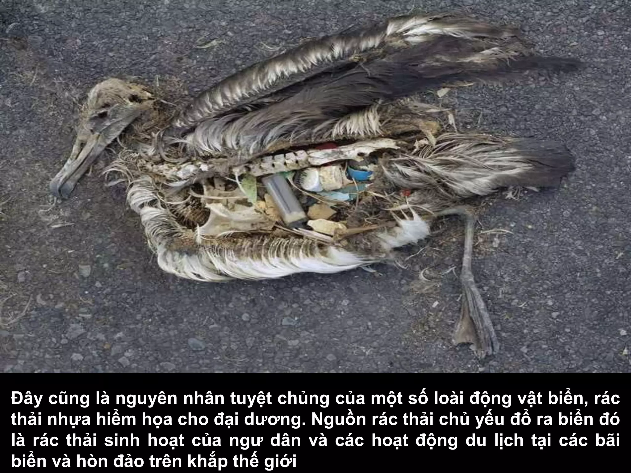 Thuyet trinh ve rac thai nhua.pptx