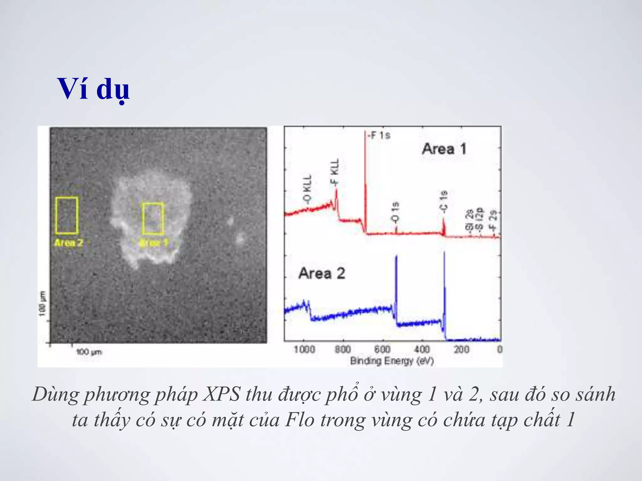 thuyet trinh xps.ppt
