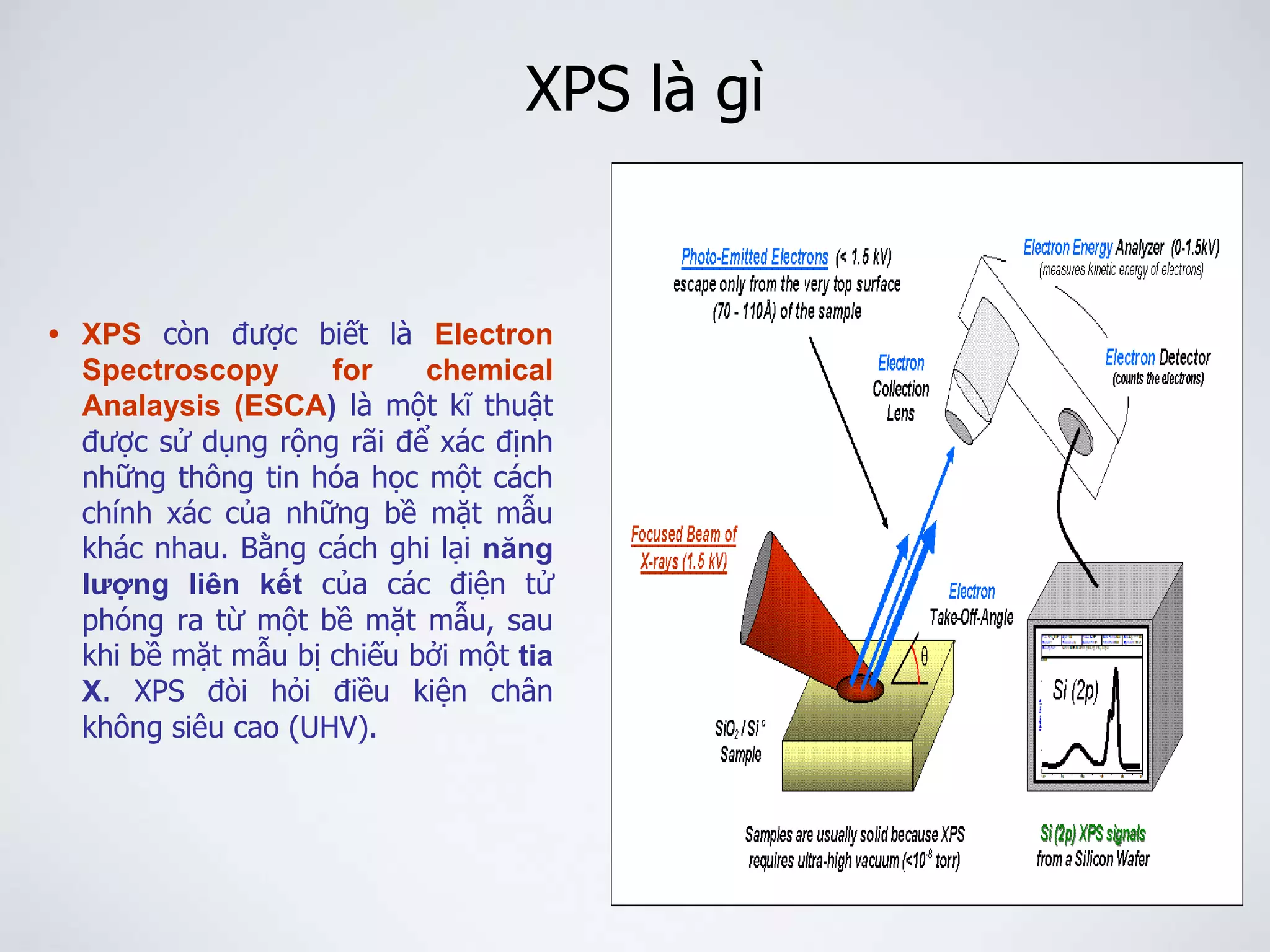 thuyet trinh xps.ppt