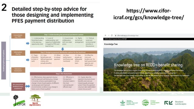 International lessons learnt on REDD+ benefit sharing mechanism | PPT