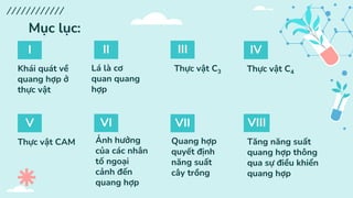 Thuyết-trình-Sinh.pptx