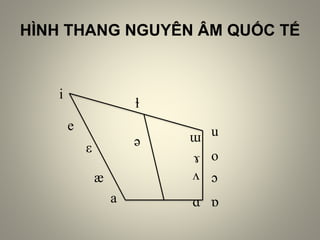 Mang tầm nhìn mới về sơ đồ hình thang nguyên âm tiếng việt