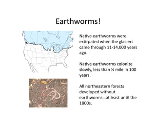 Using Ecology in the School Yard | PDF