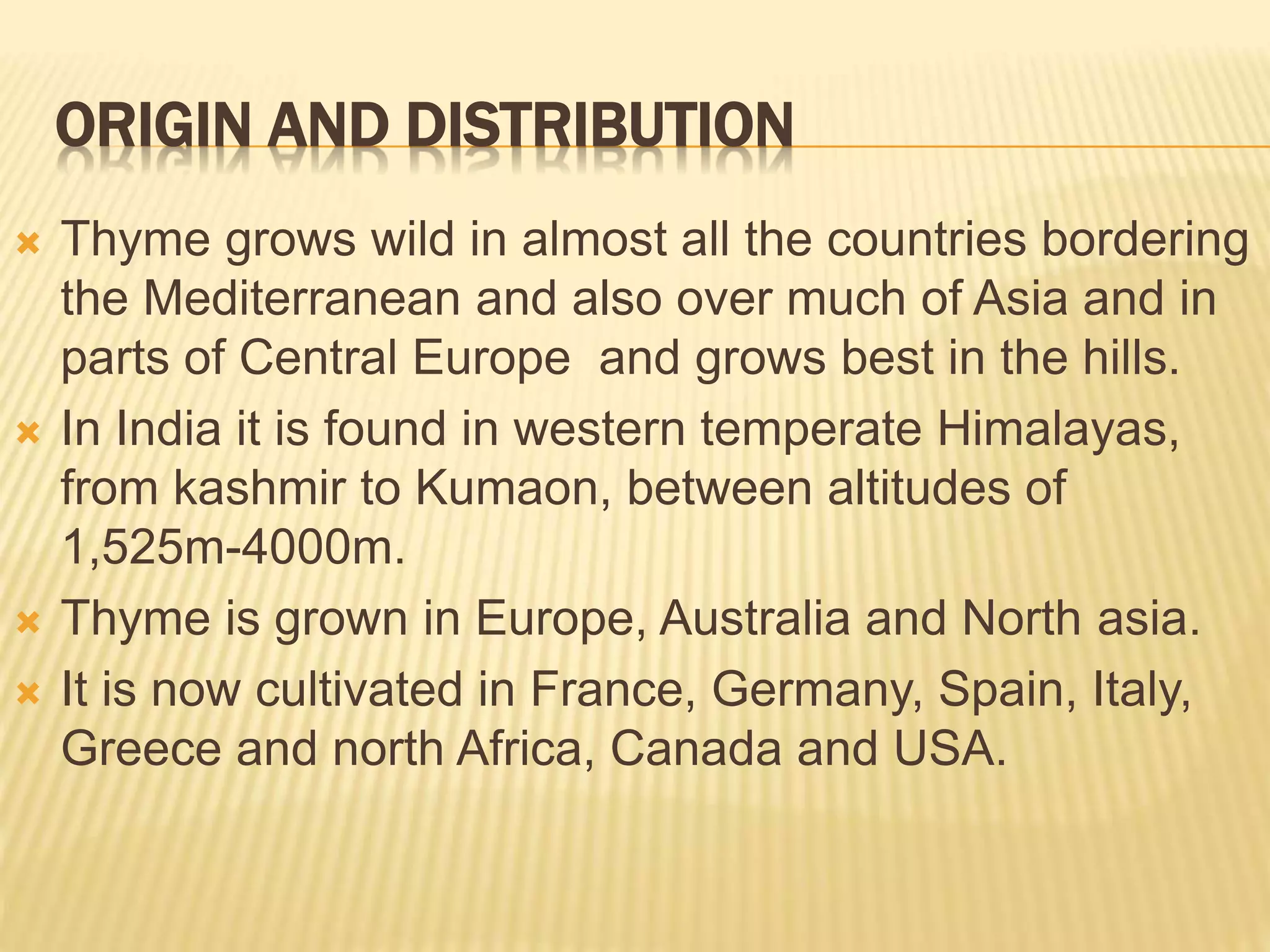 Thyme , CULTIVATION OF TYME , PRODUCTION TECHNOLOGY OF THYME | PPTX