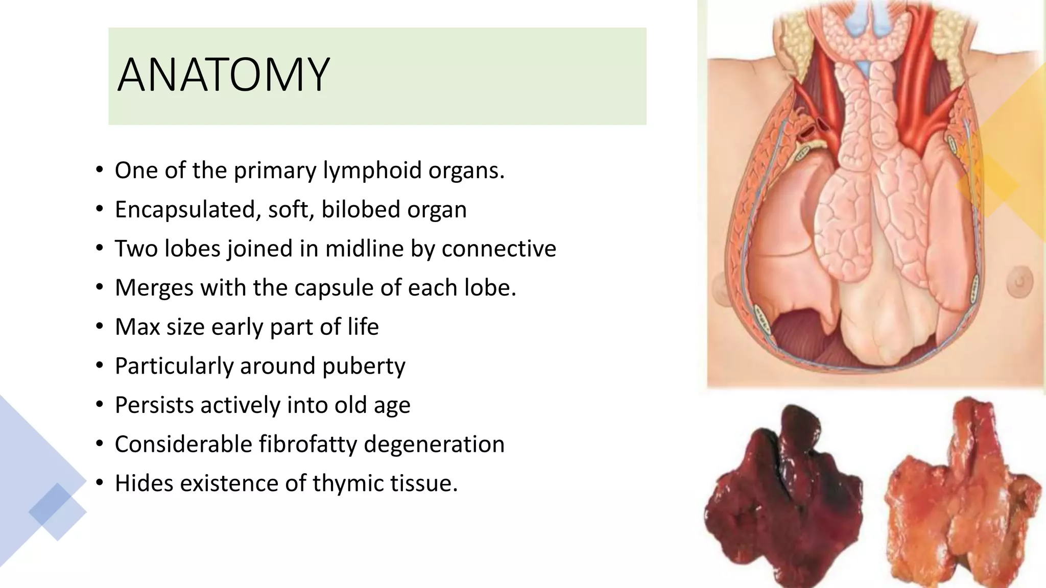 Thymic Disorders - Clinical Implications & Management Principles.pptx