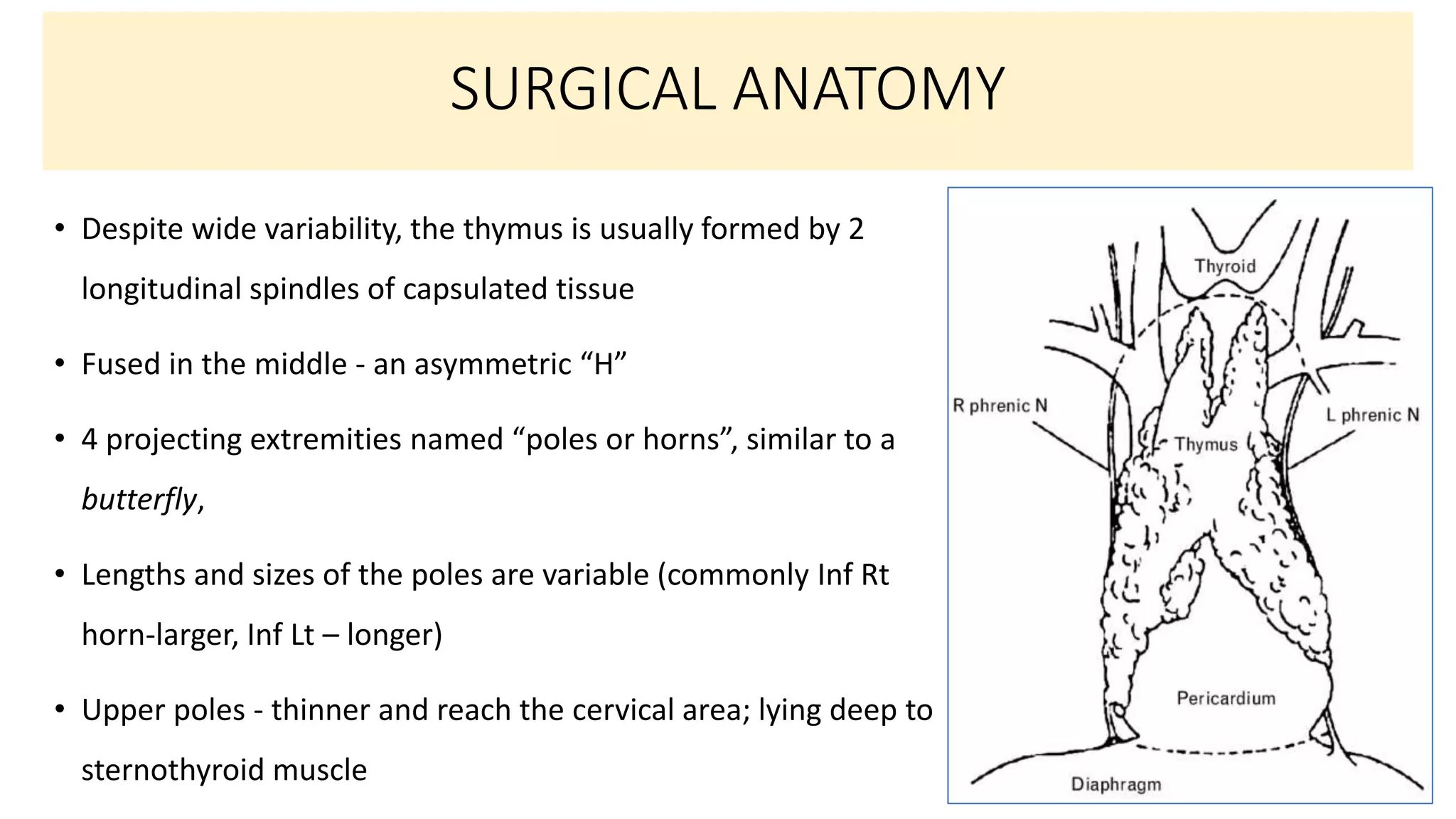 Thymic Disorders - Clinical Implications & Management Principles.pptx