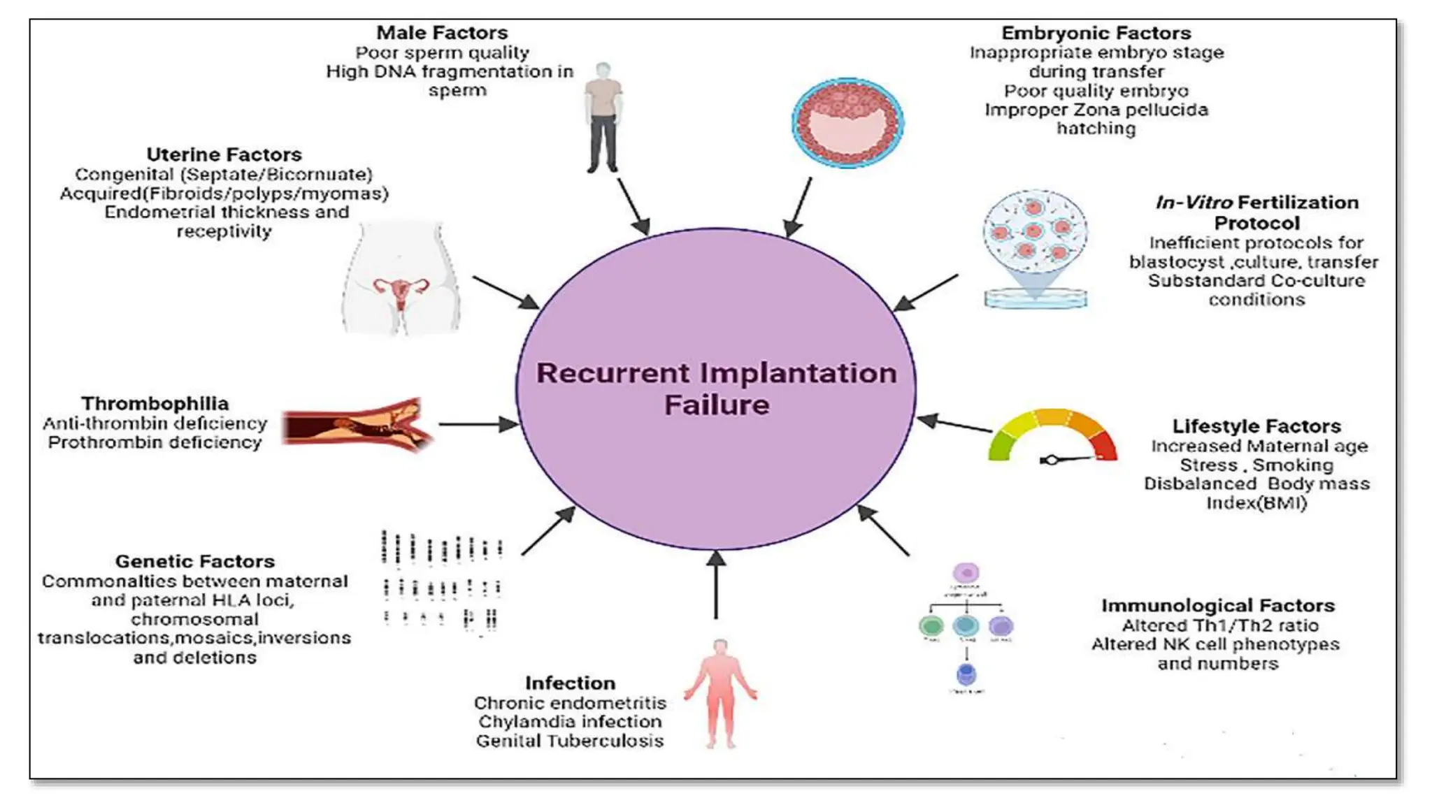 Thymosin Alpha 1 in Recurrent Implantation Failure : Dr Sharda Jain | PPTX
