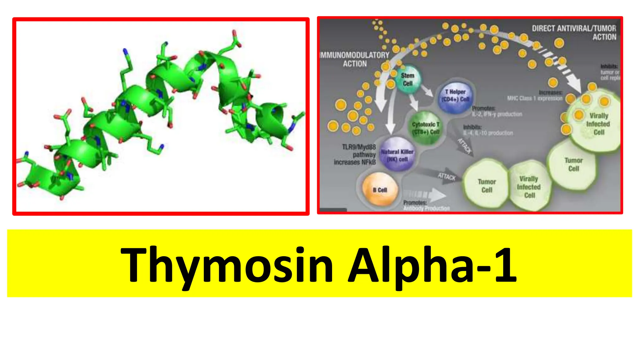 Thymosin Alpha 1 in Recurrent Implantation Failure : Dr Sharda Jain | PPTX