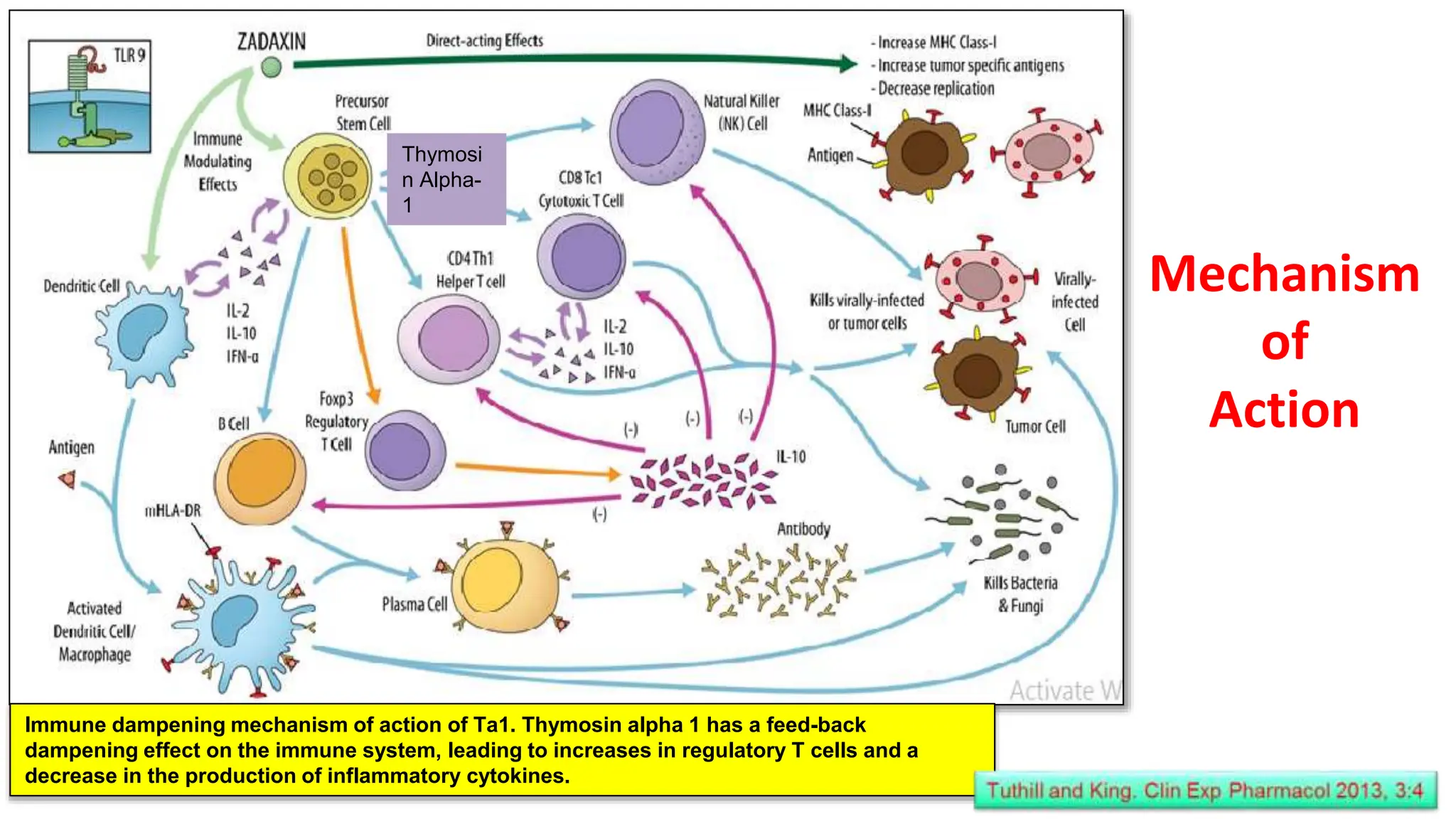 Thymosin Alpha 1 in Recurrent Implantation Failure : Dr Sharda Jain | PPTX