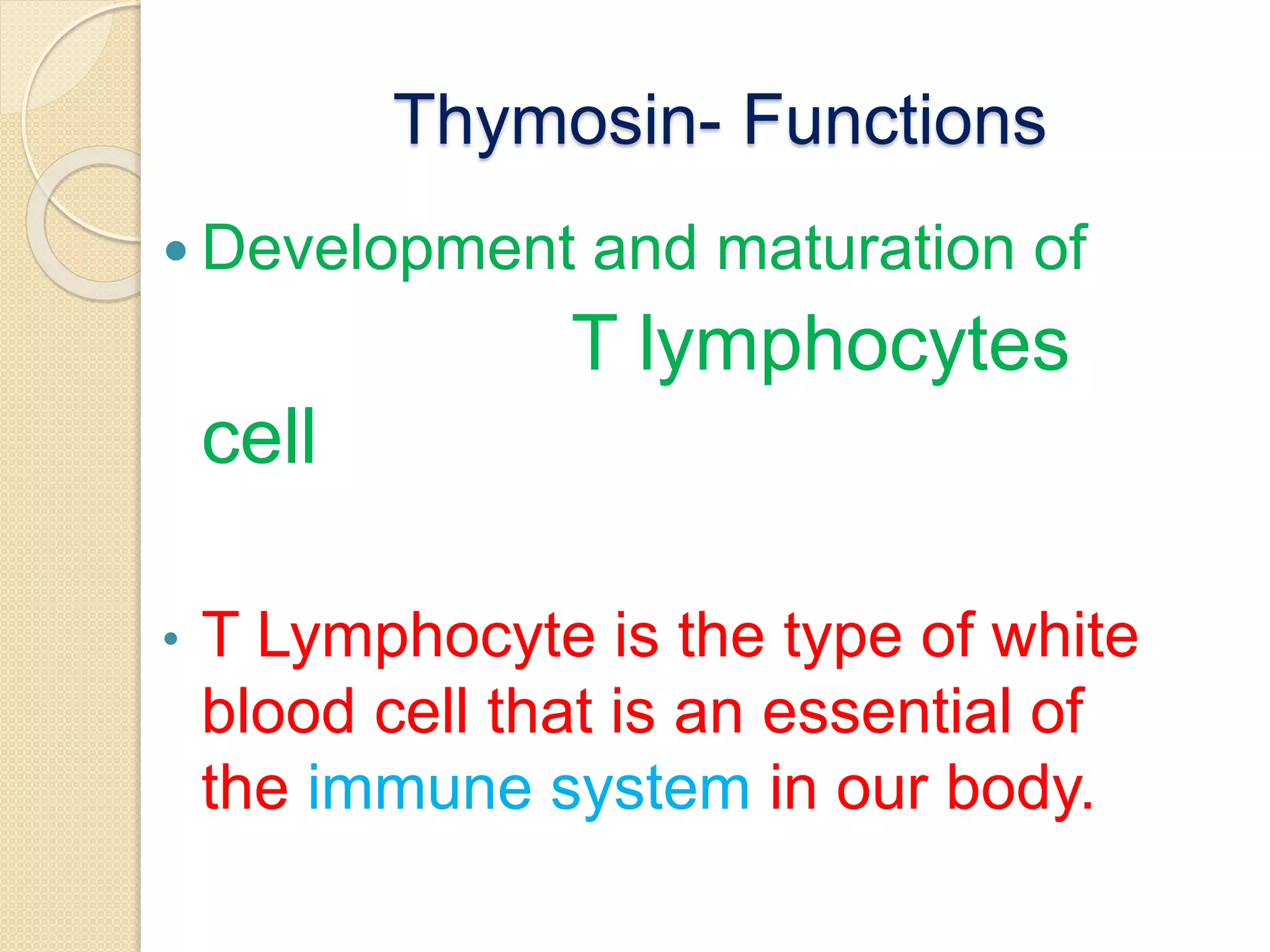 Thymus | PPTX