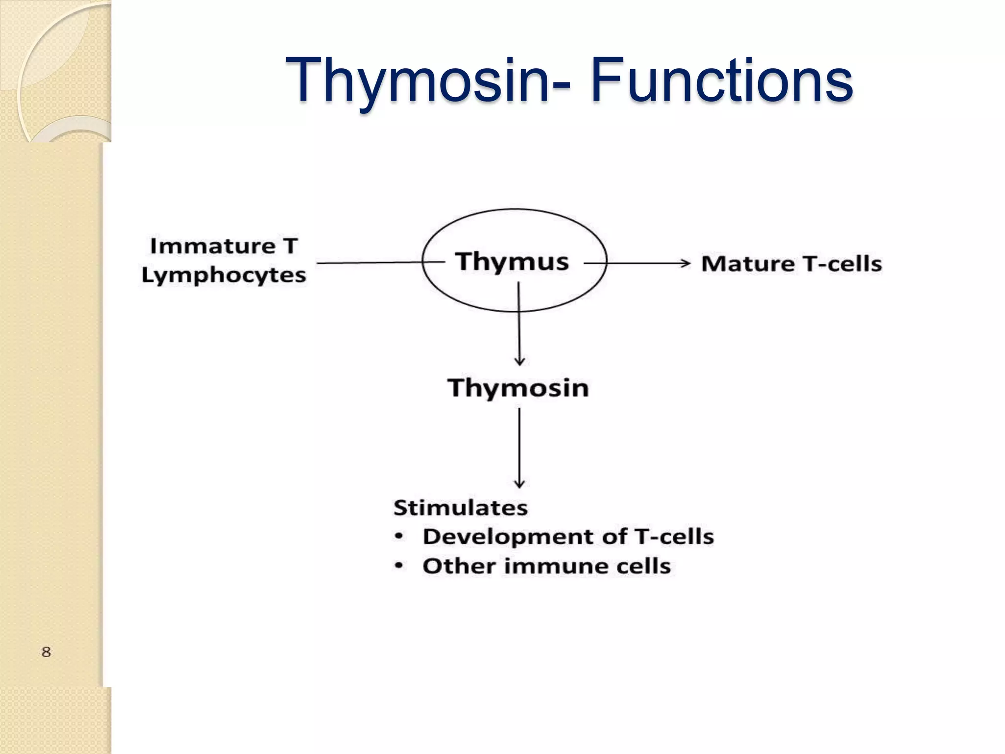 Thymus | PPTX