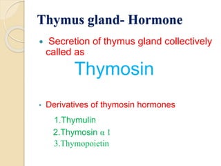 Thymus | PPTX