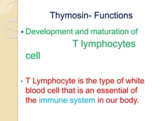 Thymus | PPTX