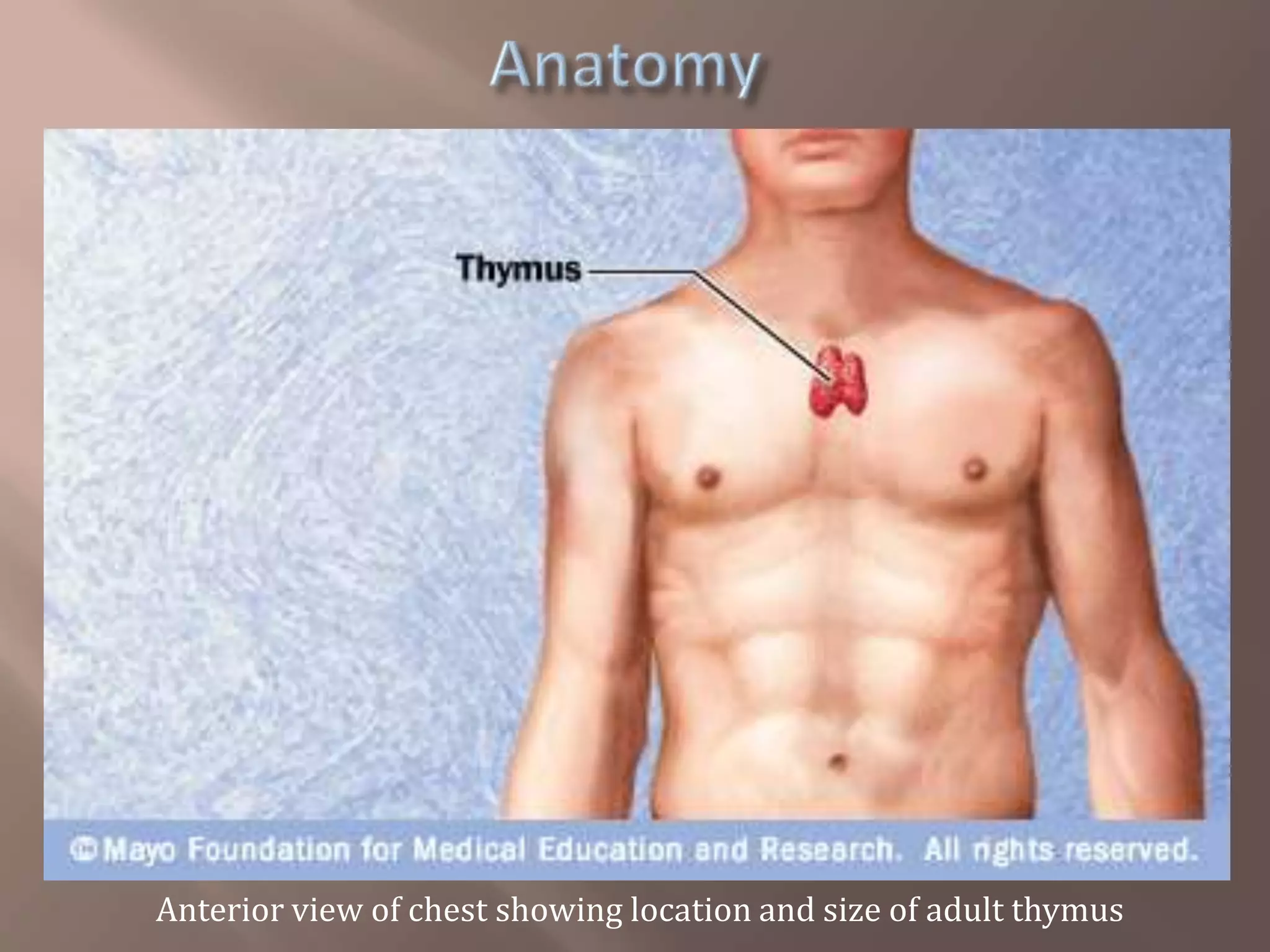 Thymus gland and spleen by Mohammad Mufarreh | PPTX