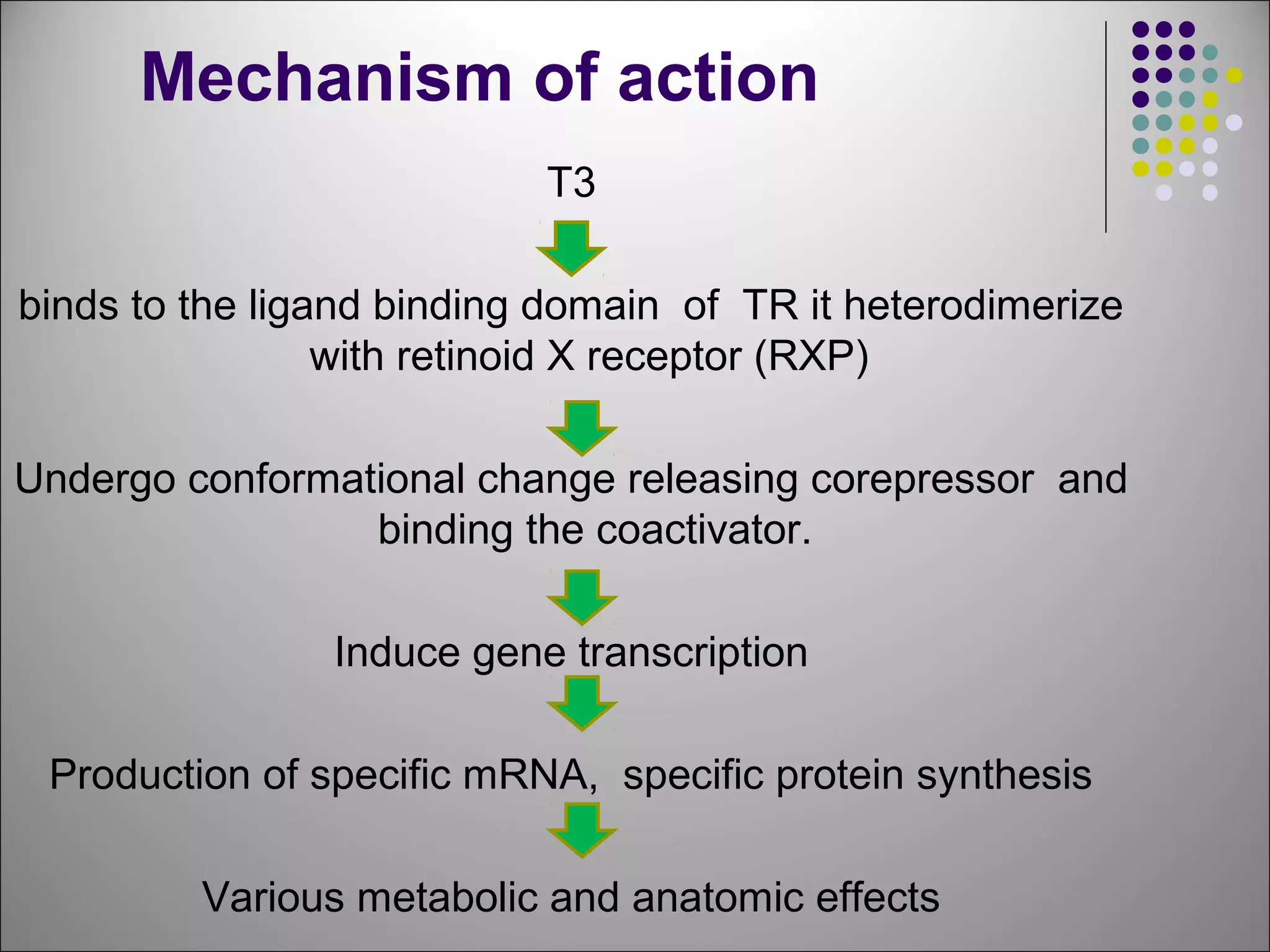 Thyoid hormones and thyroid inhibitors | PPT