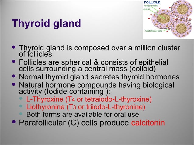 Thyoid hormones and thyroid inhibitors | PPT | Thyroid Disorders | Endocrine and Metabolic Diseases