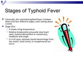 Typhoid fever | PPT