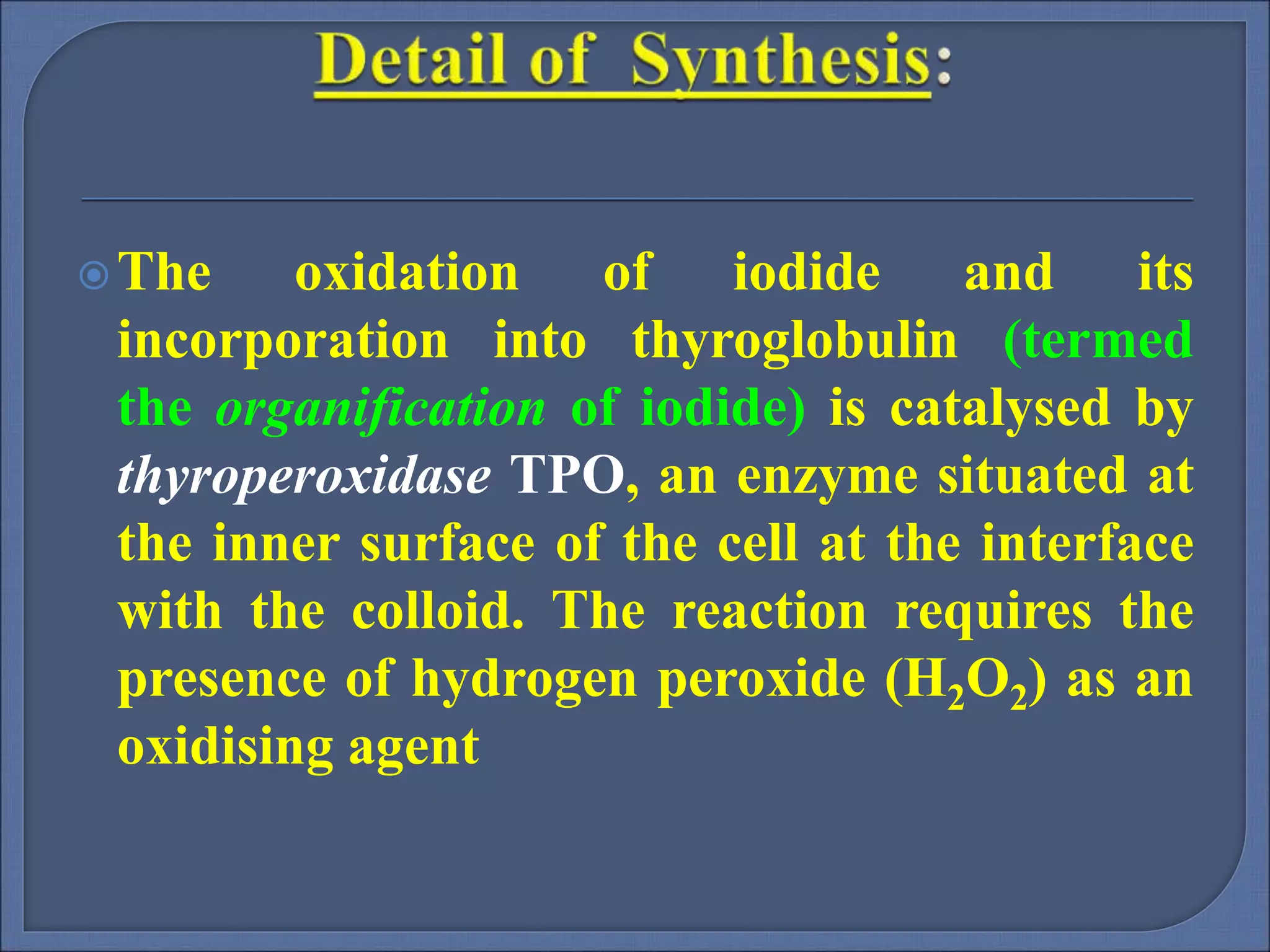 thyrid_and_antithyroid_drugs.ppt
