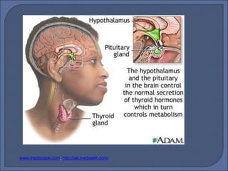 thyrid_and_antithyroid_drugs.ppt