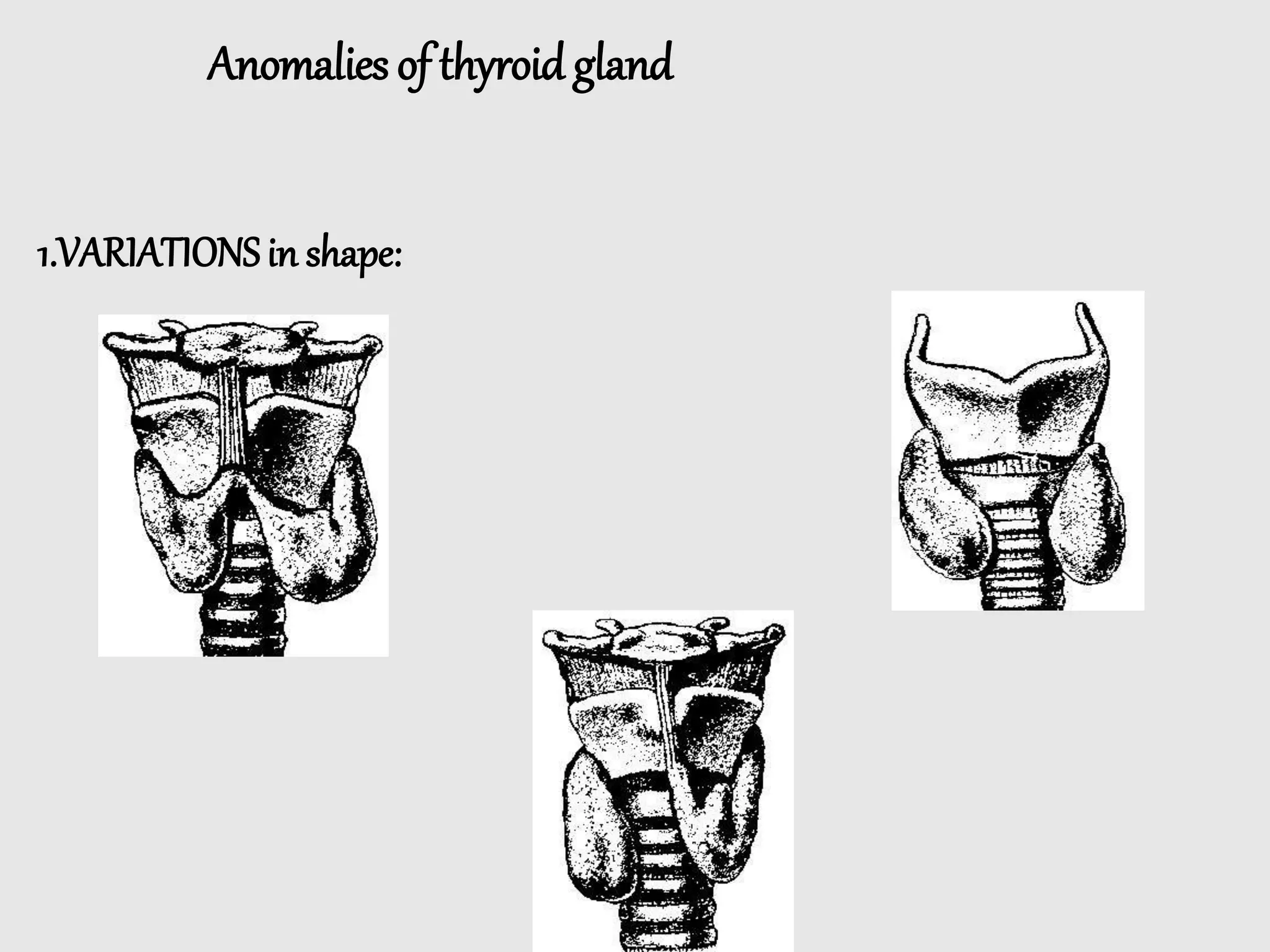 Thyriod gland anatomy and physiology | PPTX