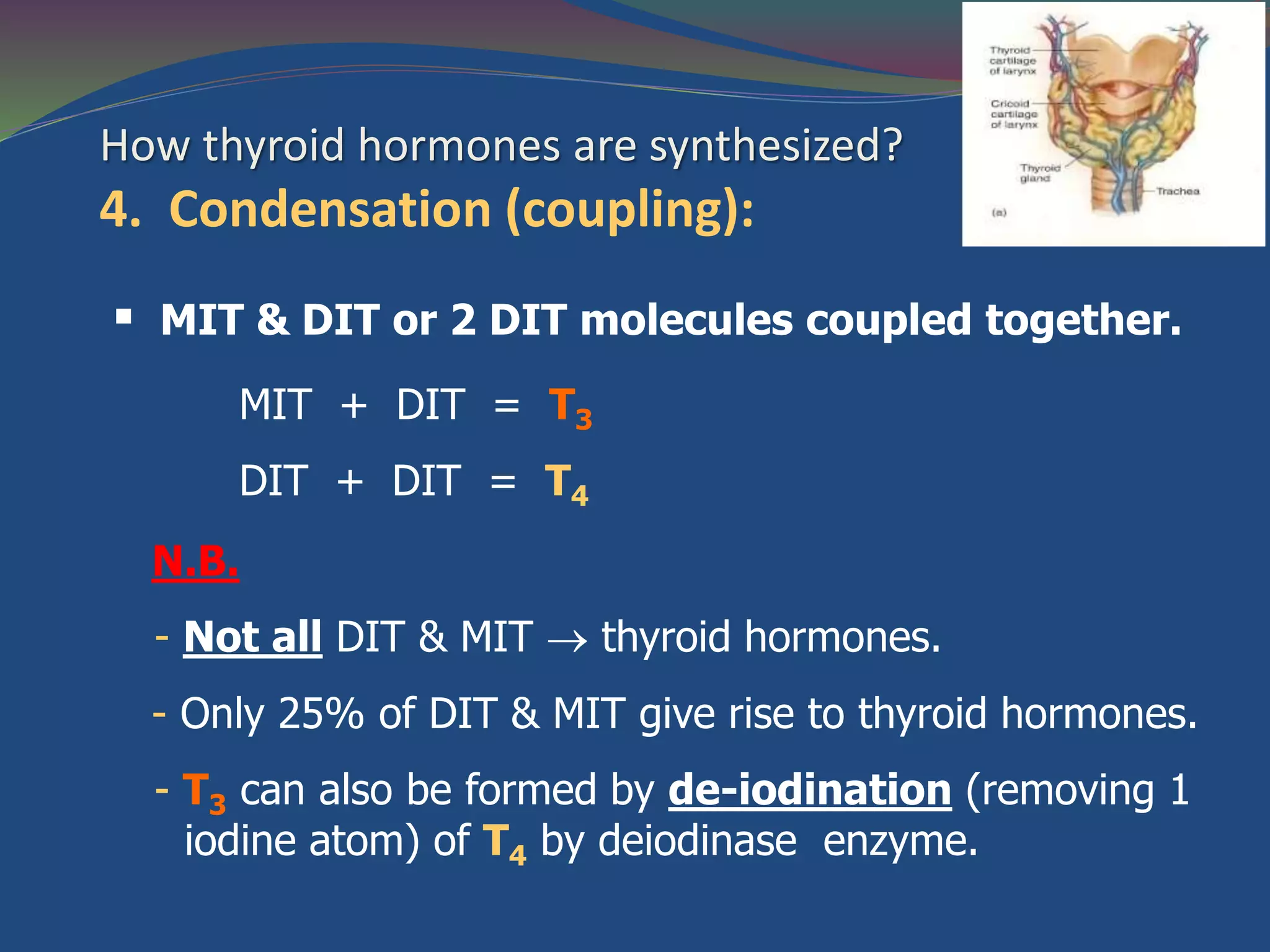 Thyriod gland anatomy physiology and pathology | PPTX