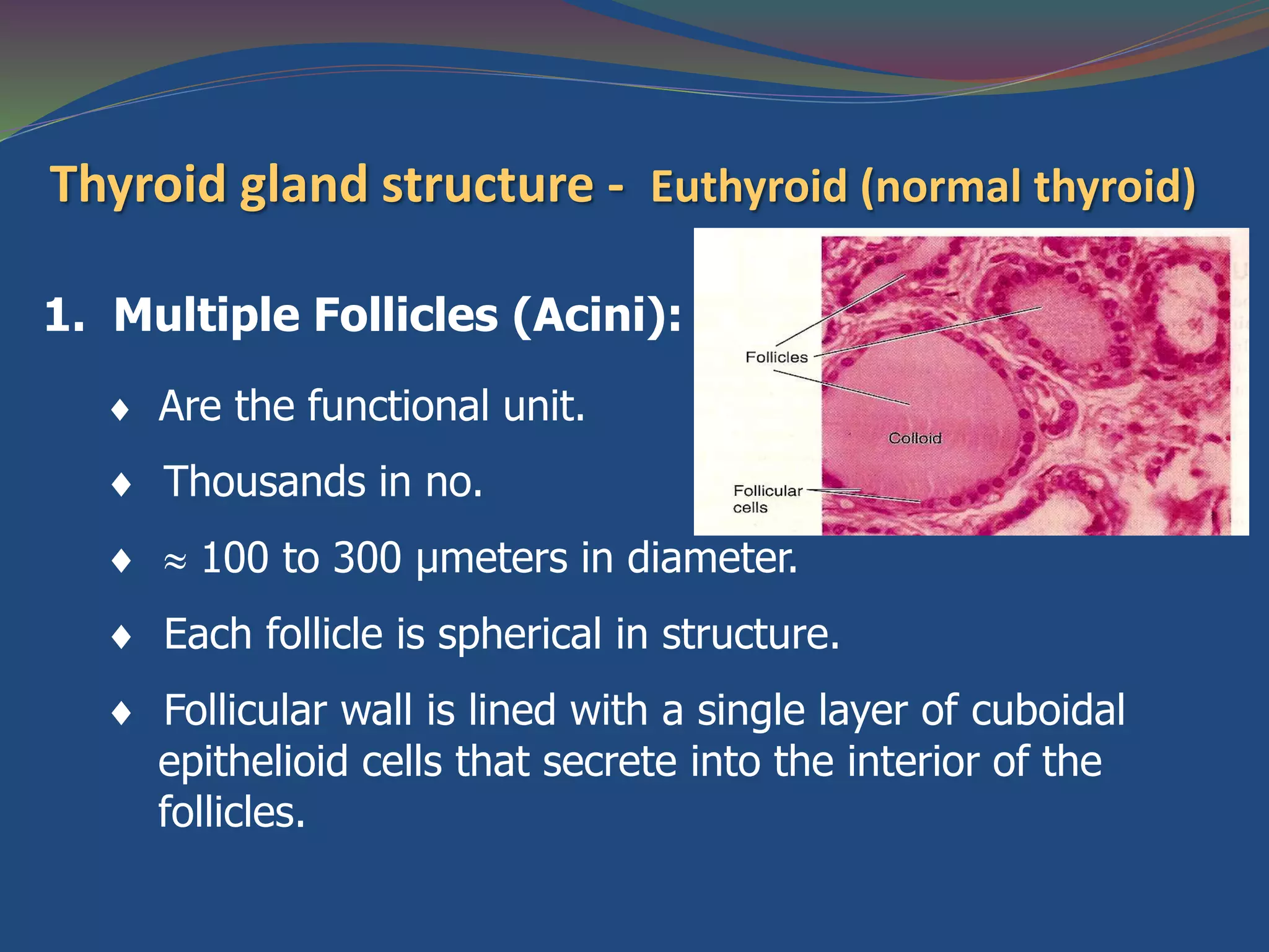 Thyriod gland anatomy physiology and pathology | PPTX