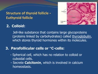 Thyriod gland anatomy physiology and pathology | PPTX