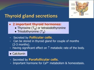 Thyriod gland anatomy physiology and pathology | PPTX